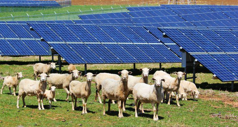 America’s Farmers are Turning to Solar — Solar Tribune